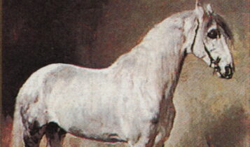 В Эстонии некоторые услуги нотариусов могут подорожать более чем на 70% ...